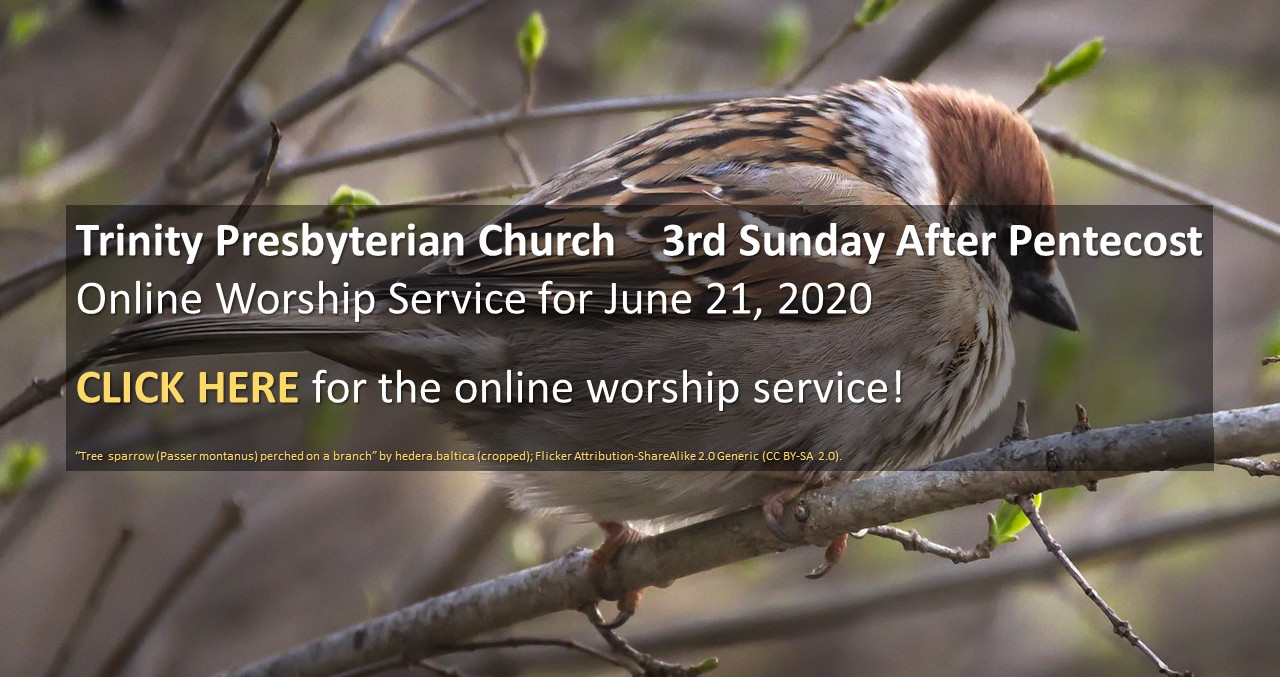 Trinity Presbyterian Church – A Presbyterian Church family